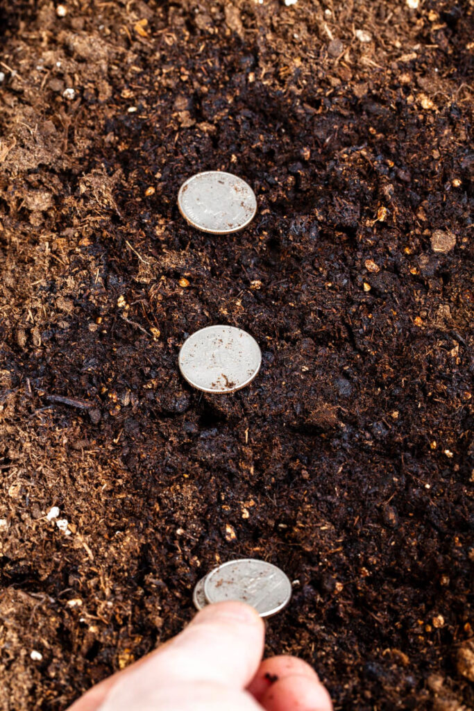 Biblical Meaning Of Finding Quarters: What Does It Mean?