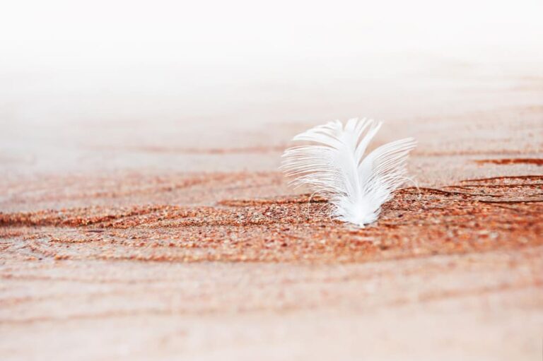 Small White Feather Meaning: 7 Spiritual Messages for You