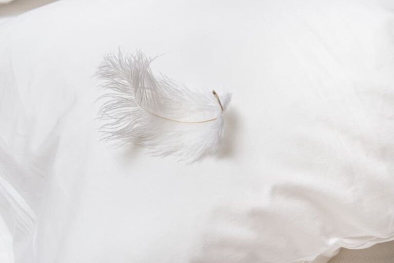 Small White Feather Meaning: 7 Spiritual Messages for You