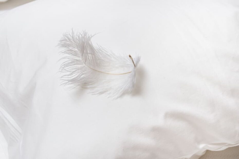 Small White Feather Meaning: 7 Spiritual Messages for You